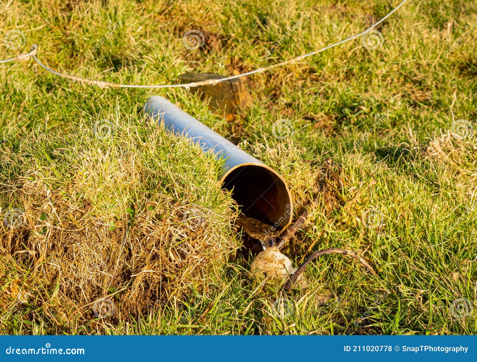 Water Flowing Out of a Drain Pipe in a Field Stock Photo - Image of ...
