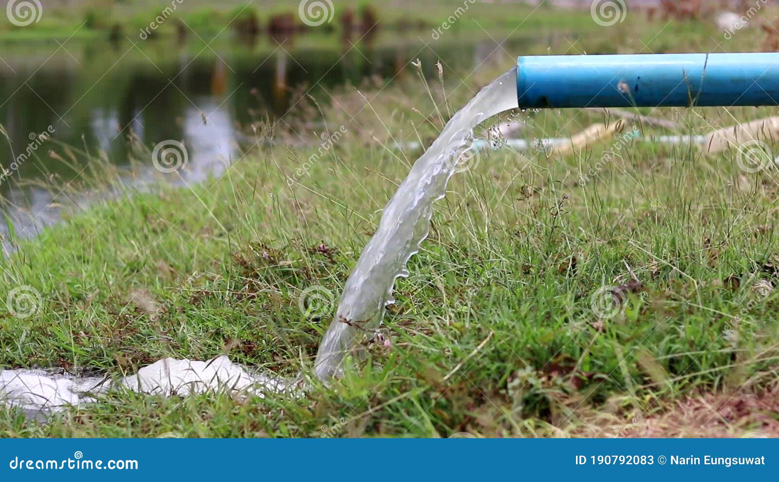 The Water Flowing Out of the Pipe into the Natural Water Source. Stock ...