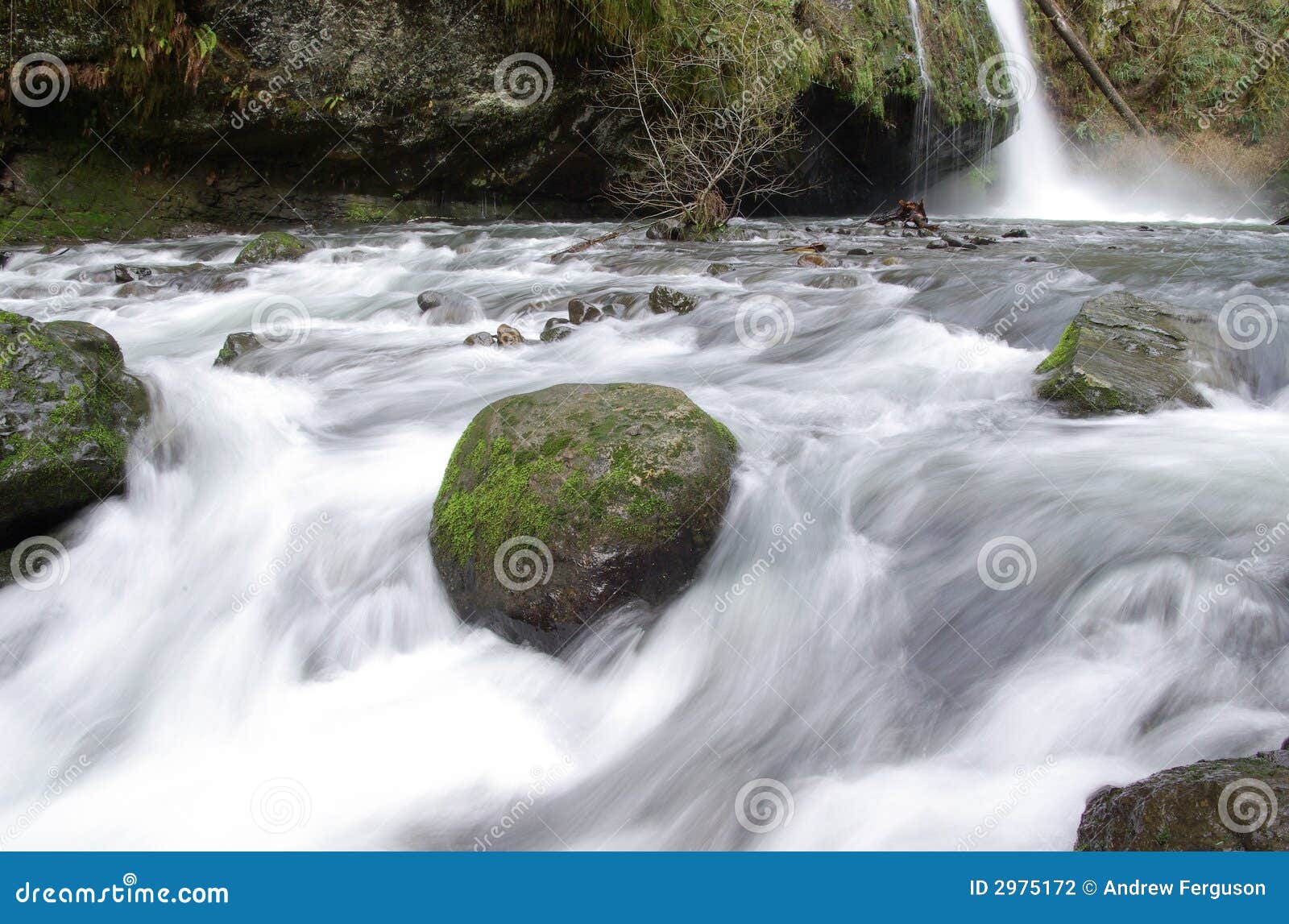 Water flowing over rocks stock photo. Image of covered - 2975172