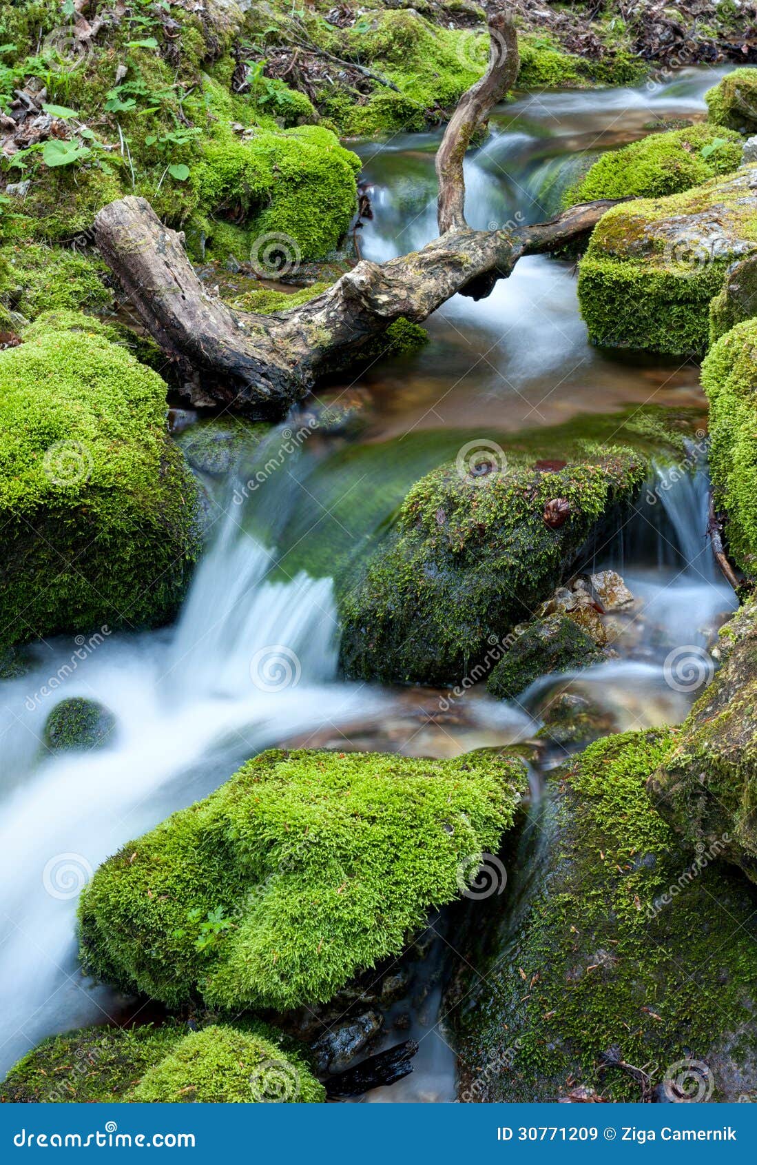 Water flowing over rocks stock image. Image of mossy - 30771209
