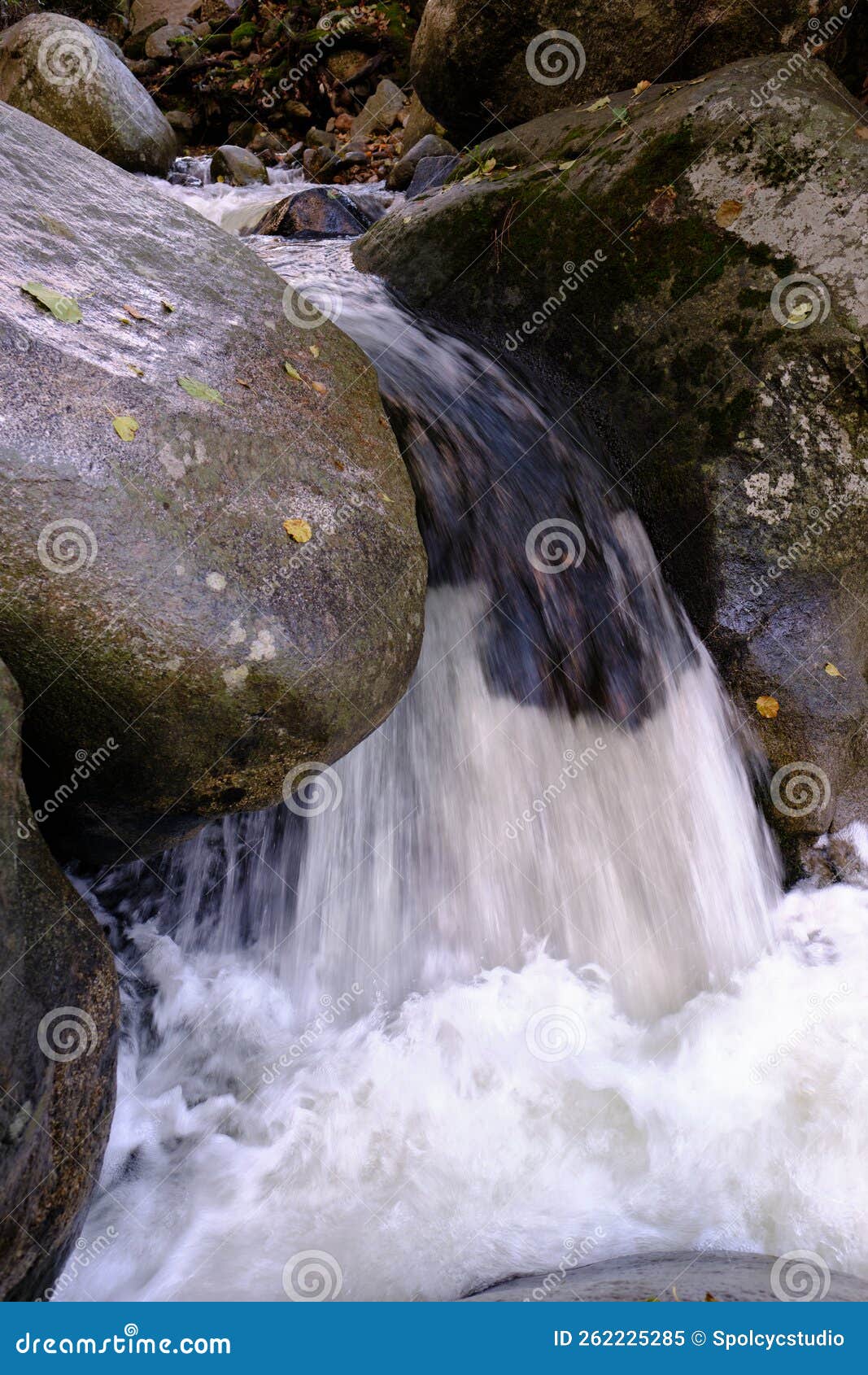 Water Flowing Over Rocks in the Forest Stock Image - Image of beautiful ...
