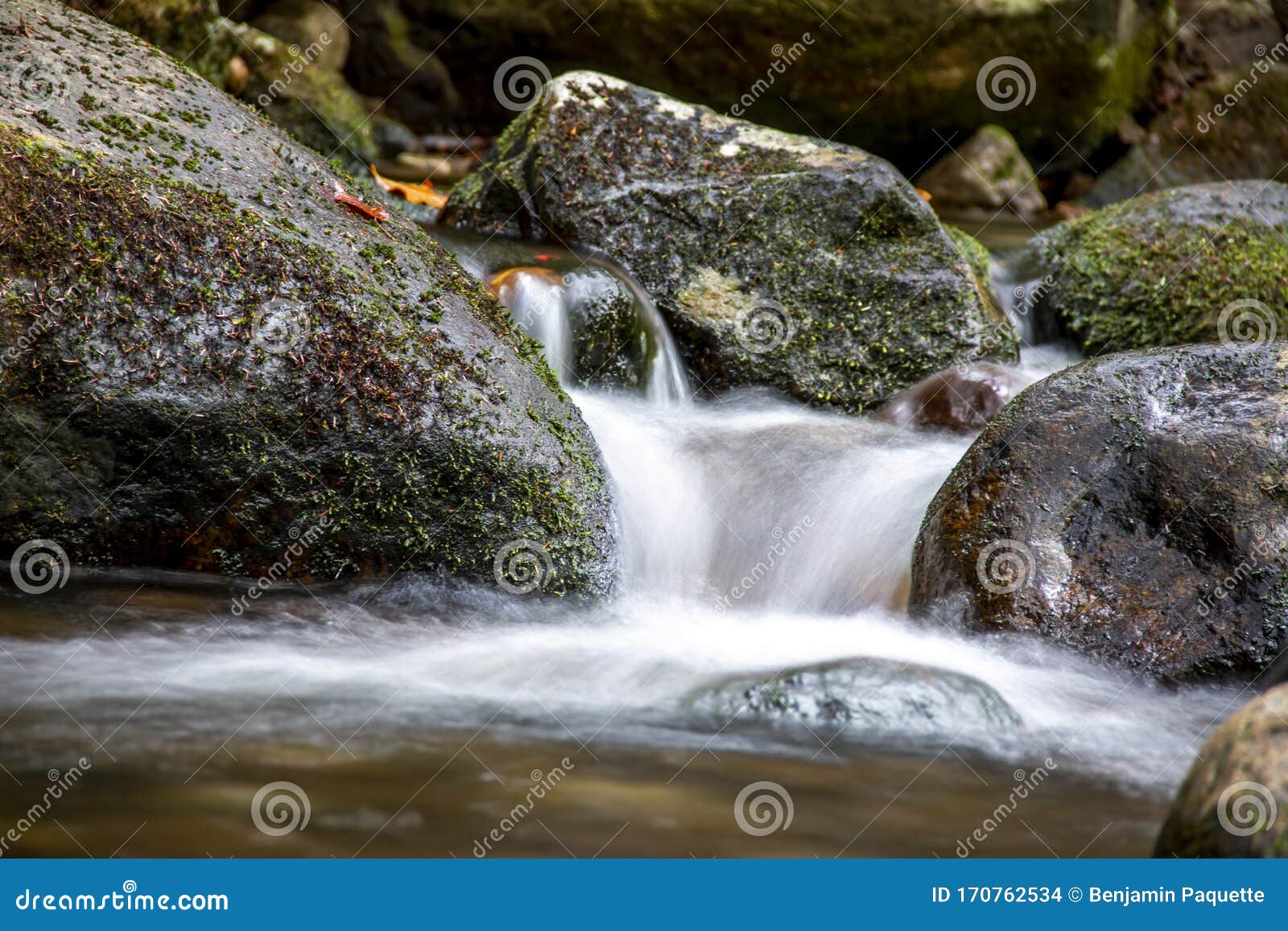 Water Flowing Over Rocks in a Stream Stock Photo - Image of trees ...