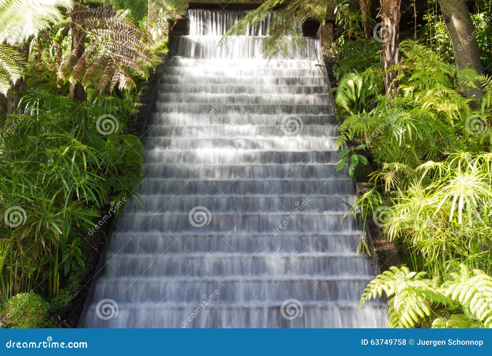 Water Flowing Over Stairs of Stone Stock Photo - Image of river, fern ...