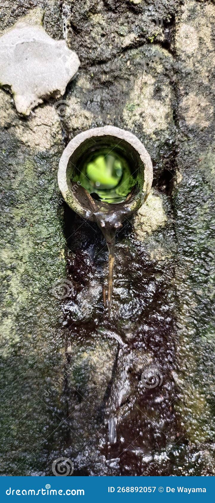 Water Flowing through the Pipe Stock Image - Image of water, nature ...