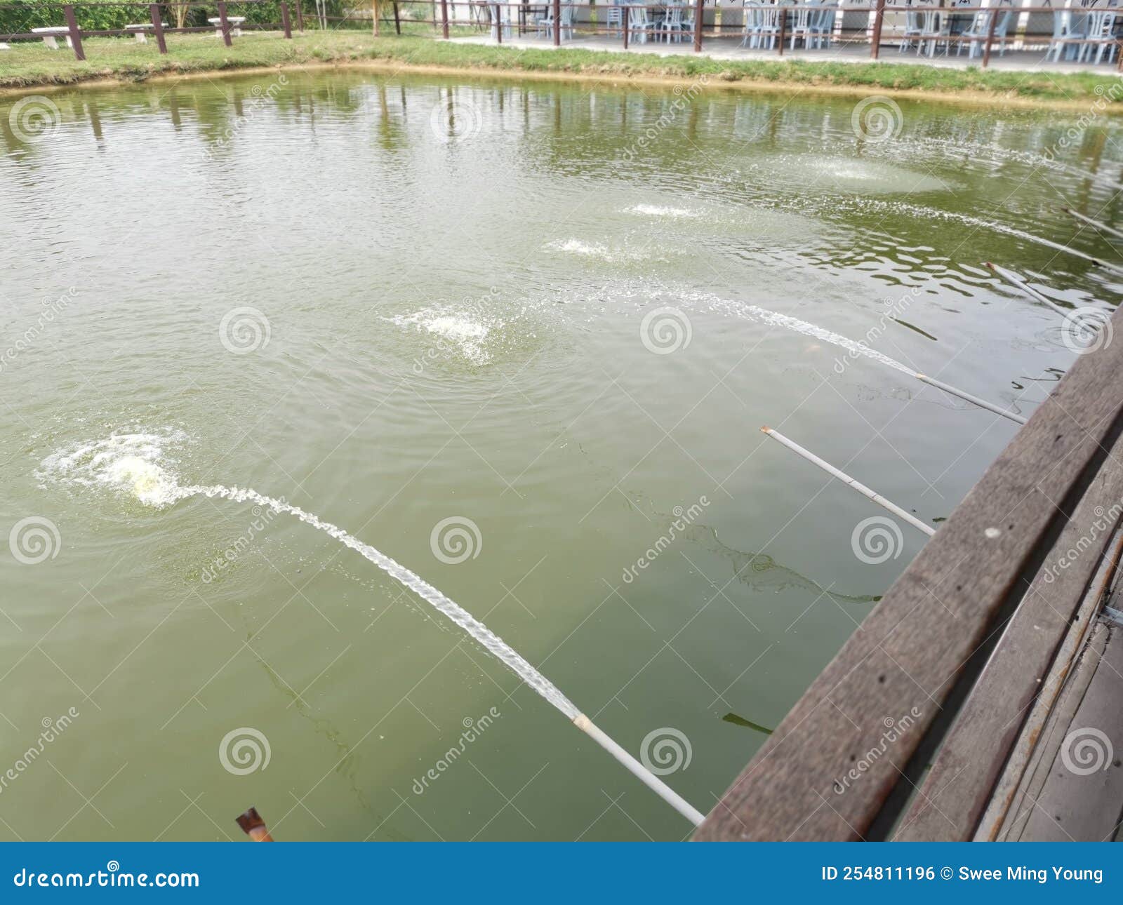 Water Flowing from PVC Pipe Line into the Pond. Stock Photo - Image of ...