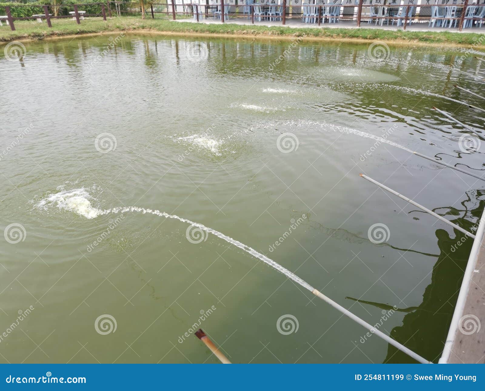 Water Flowing from PVC Pipe Line into the Pond. Stock Image - Image of ...