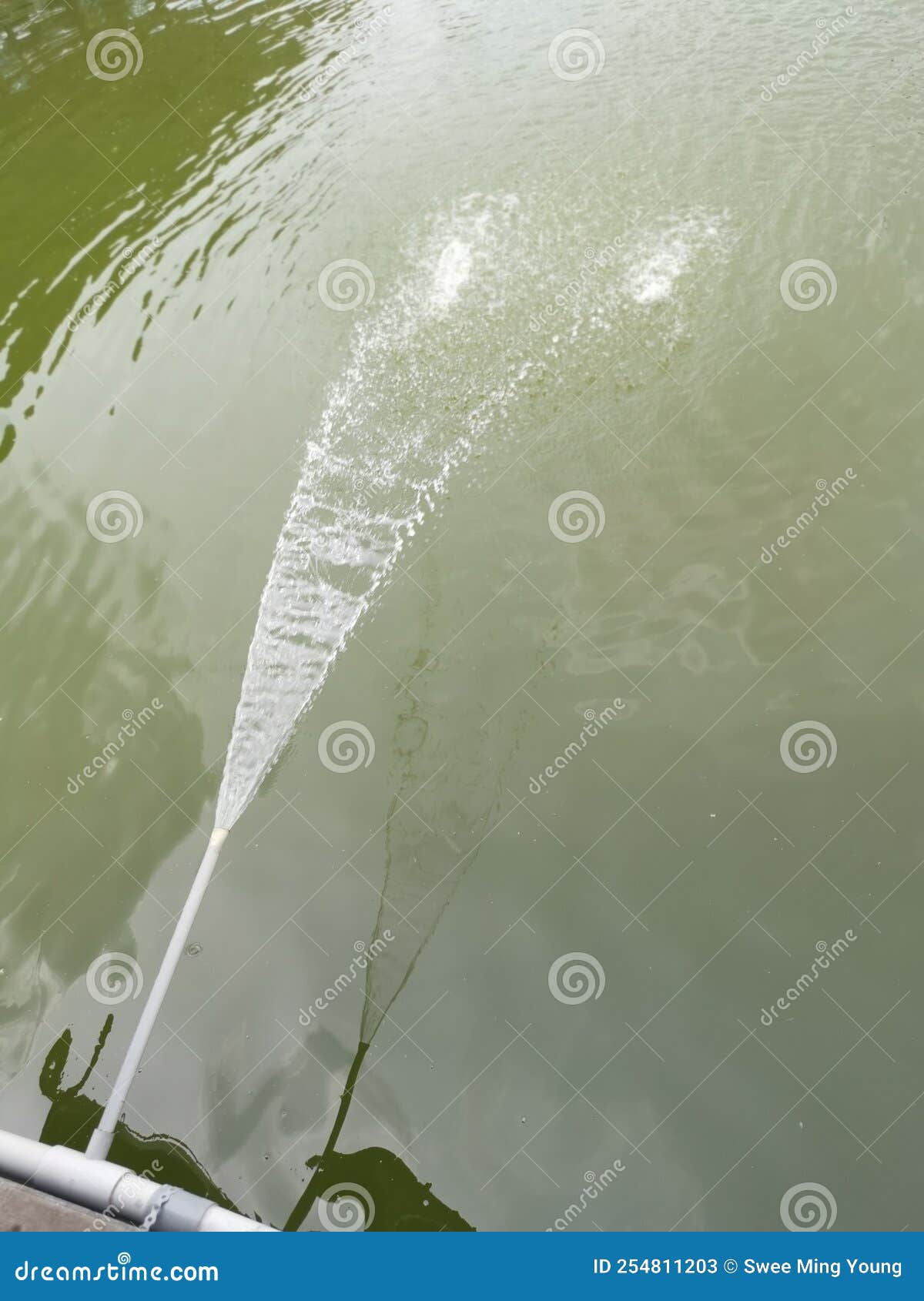 Water Flowing from PVC Pipe Line into the Pond. Stock Image - Image of ...