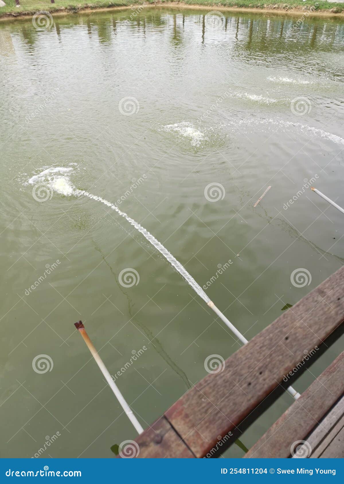 Water Flowing from PVC Pipe Line into the Pond. Stock Photo - Image of ...