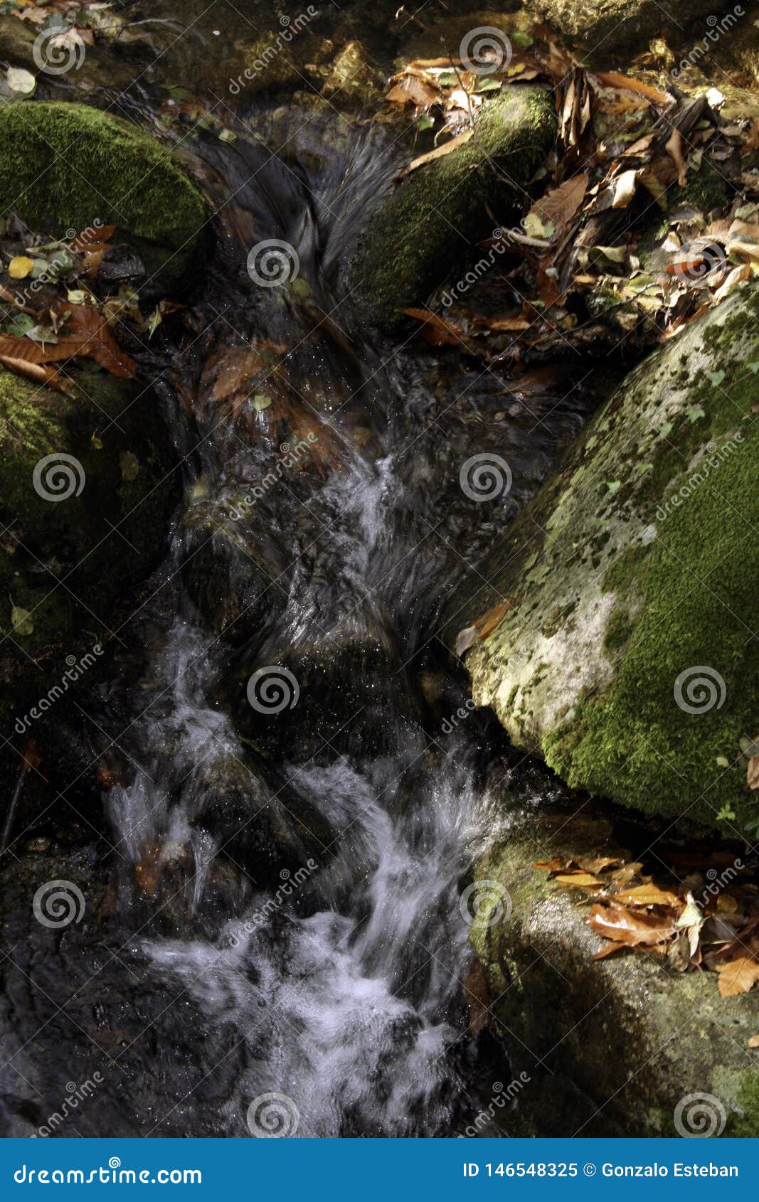 Water Flowing between the Rocks Full of Moss Stock Image - Image of ...