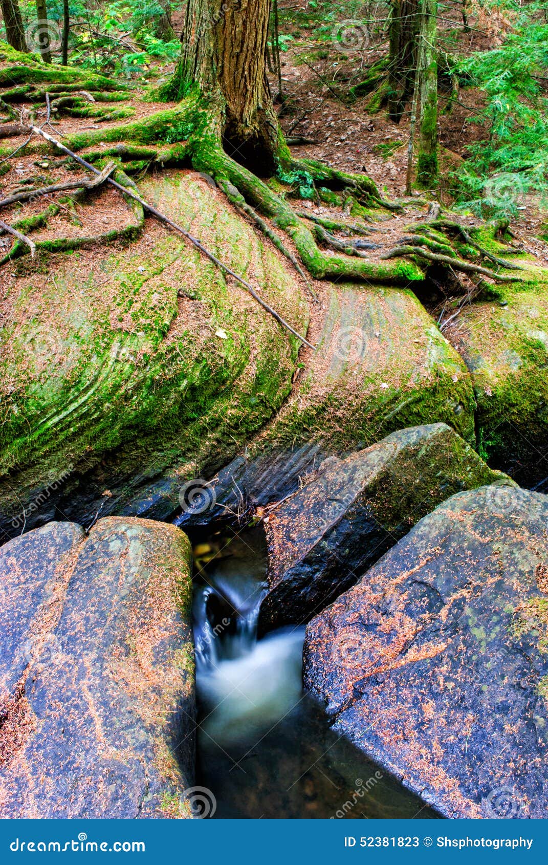 Water Flowing through a Rocks by a River Bank Stock Image - Image of ...