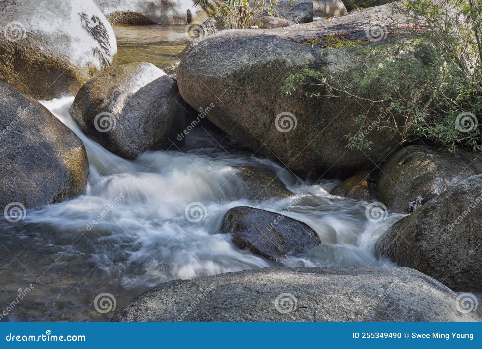 Water Flowing through the Rocky River Stream in the Forest. Stock Photo ...