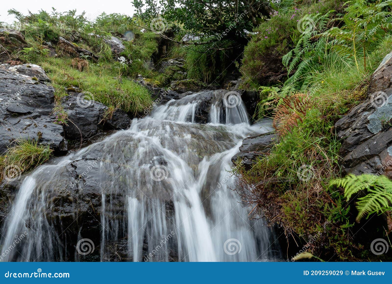 Water Flowing in a Small Creek. Nature Background Stock Image - Image ...
