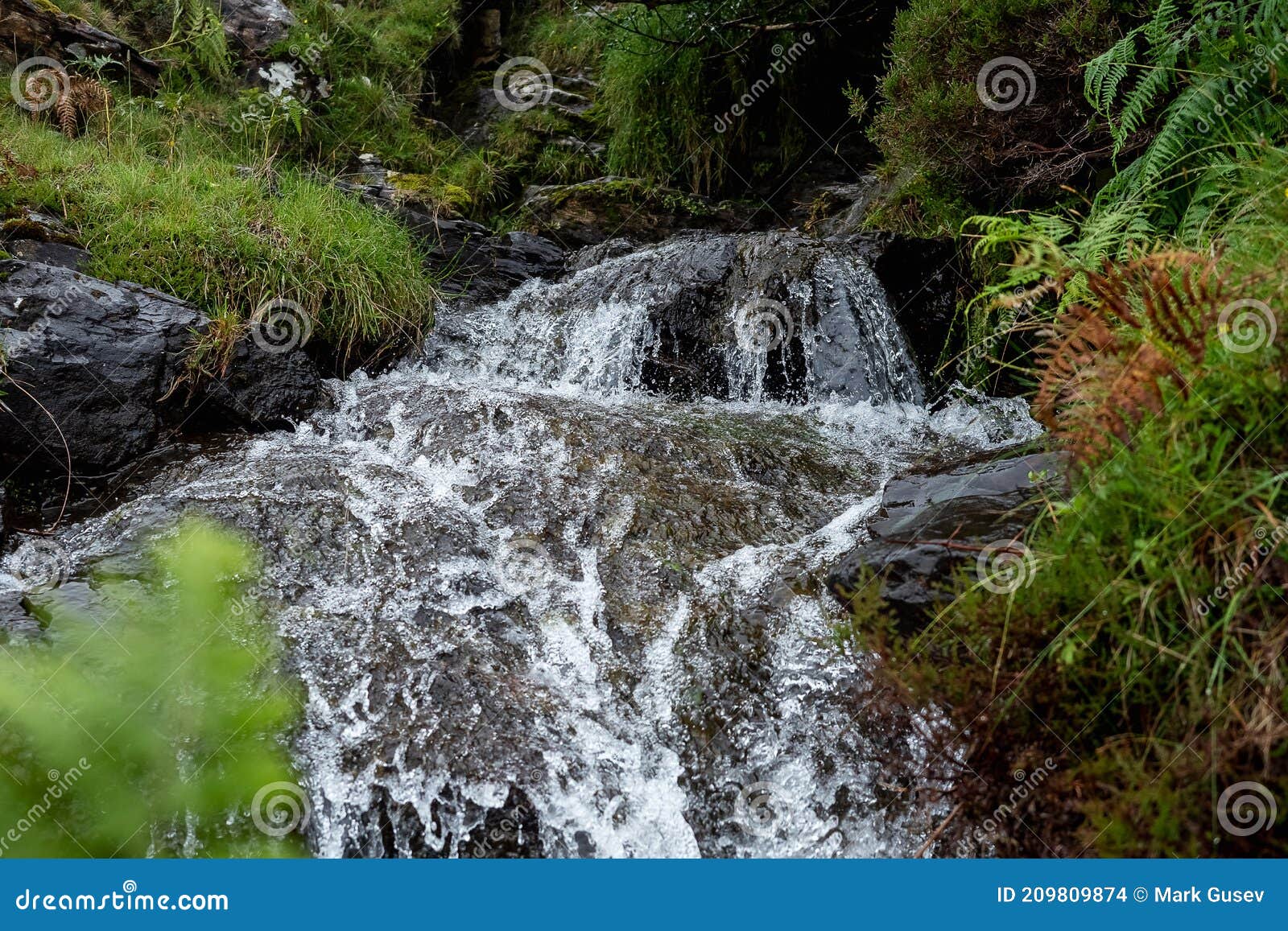 Water Flowing in a Small Creek. Nature Background Stock Photo - Image ...