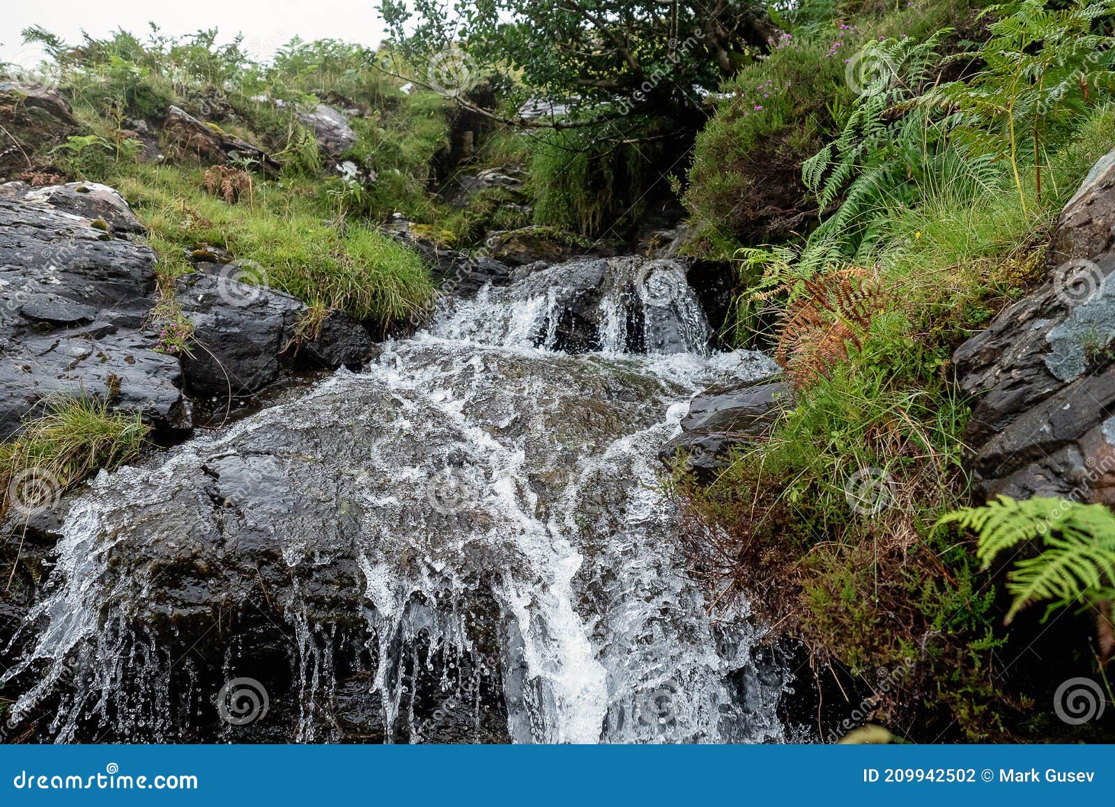 Water Flowing in a Small Creek. Nature Background Stock Photo - Image ...