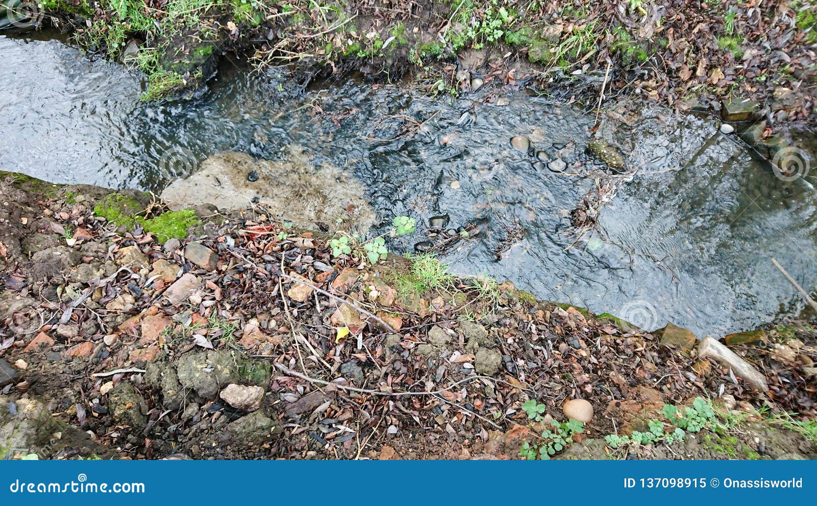 Natural Flowing Water stock image. Image of water, river - 137098915