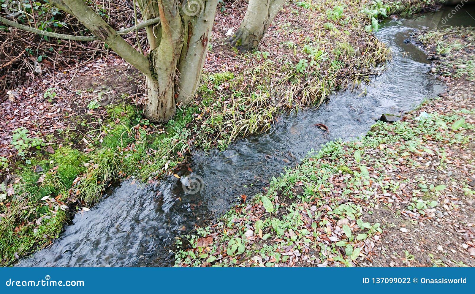 Natural Flowing Water stock photo. Image of water, small - 137099022