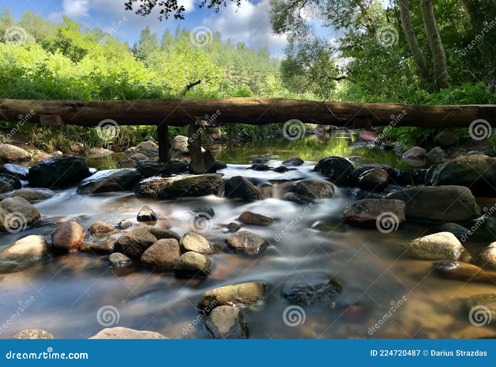 Water Flowing Stream in Forest Stock Image - Image of stream, wild ...