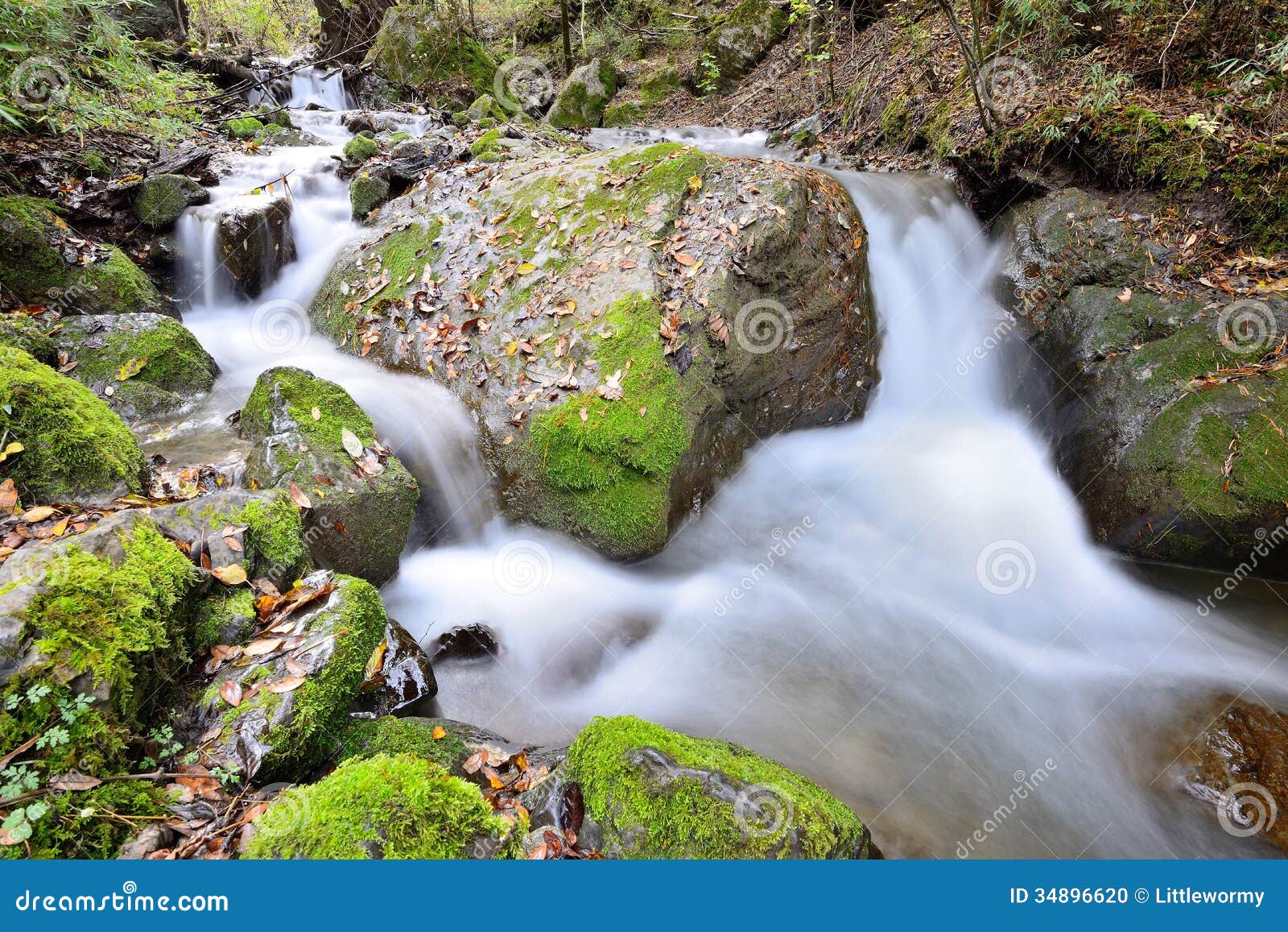 Water flowing stream stock photo. Image of scenics, forest - 34896620