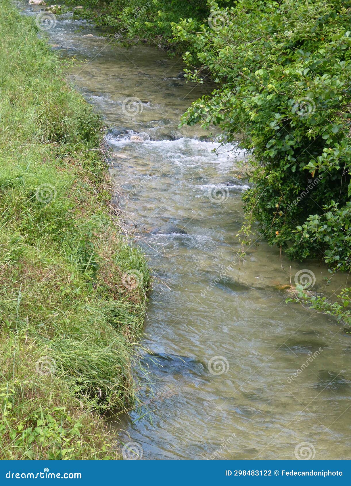 Water Flowing from a Stream Near the Spring Source Stock Photo - Image ...