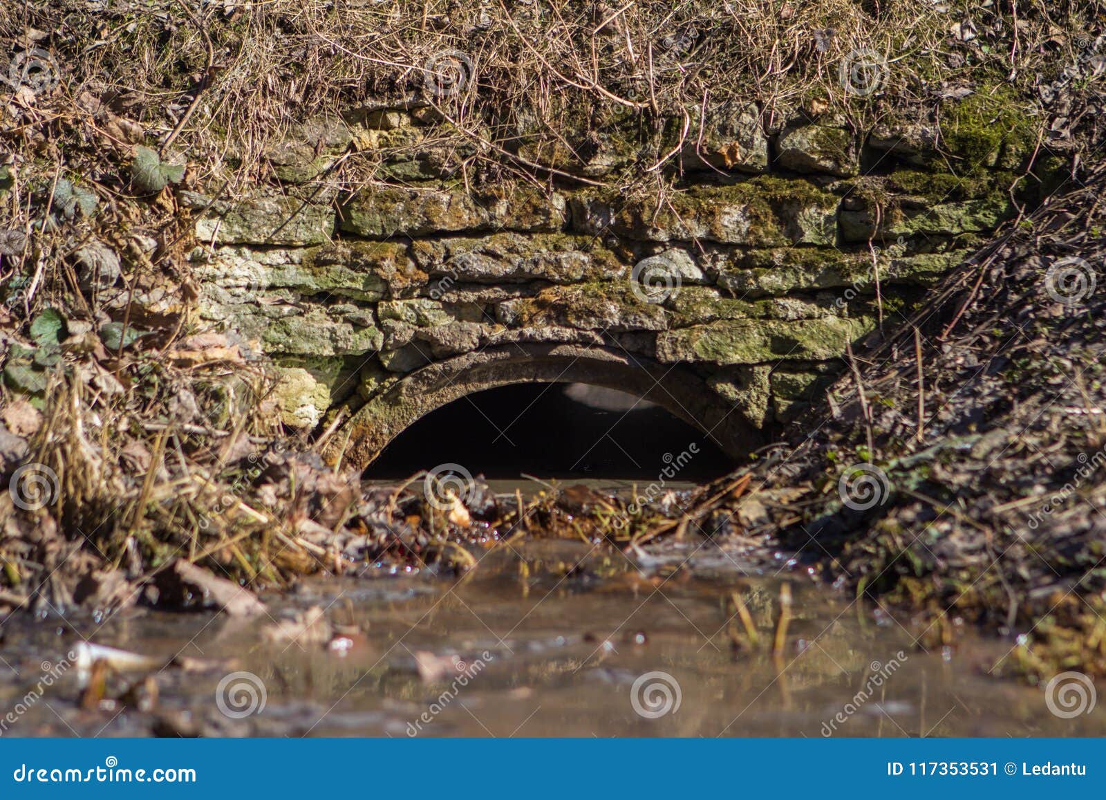 Water Flowing Under a Stone Bridge. Stock Image - Image of cave ...