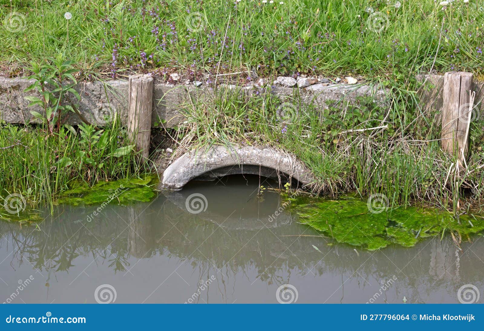 Water Flows through Concrete Culvert in Ditch Stock Photo - Image of ...