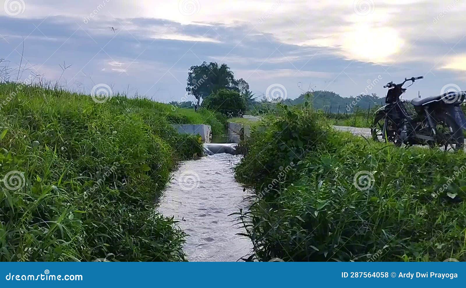 Water Flows in the Ditches. Stock Footage - Video of overview, brook ...