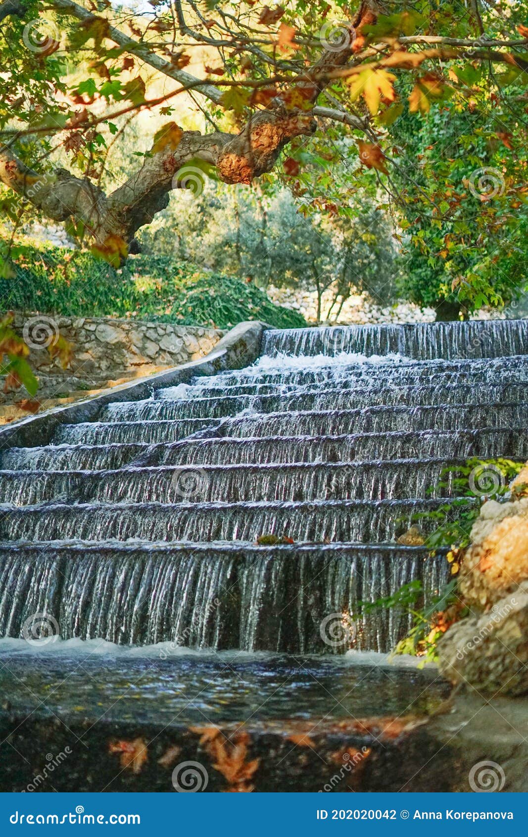 Water flows stock photo. Image of environment, nature - 202020042