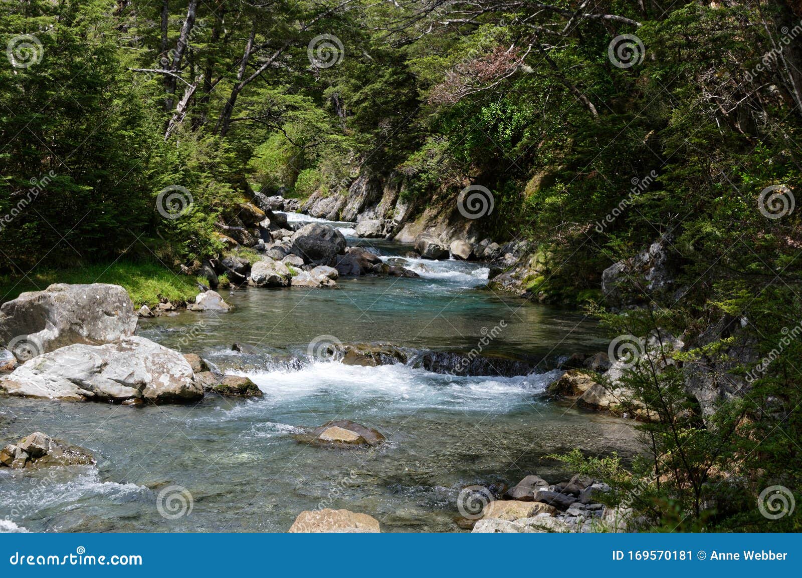 Water Flows Down A Tree Lined River Stock Image Image Of Deep Motion 169570181