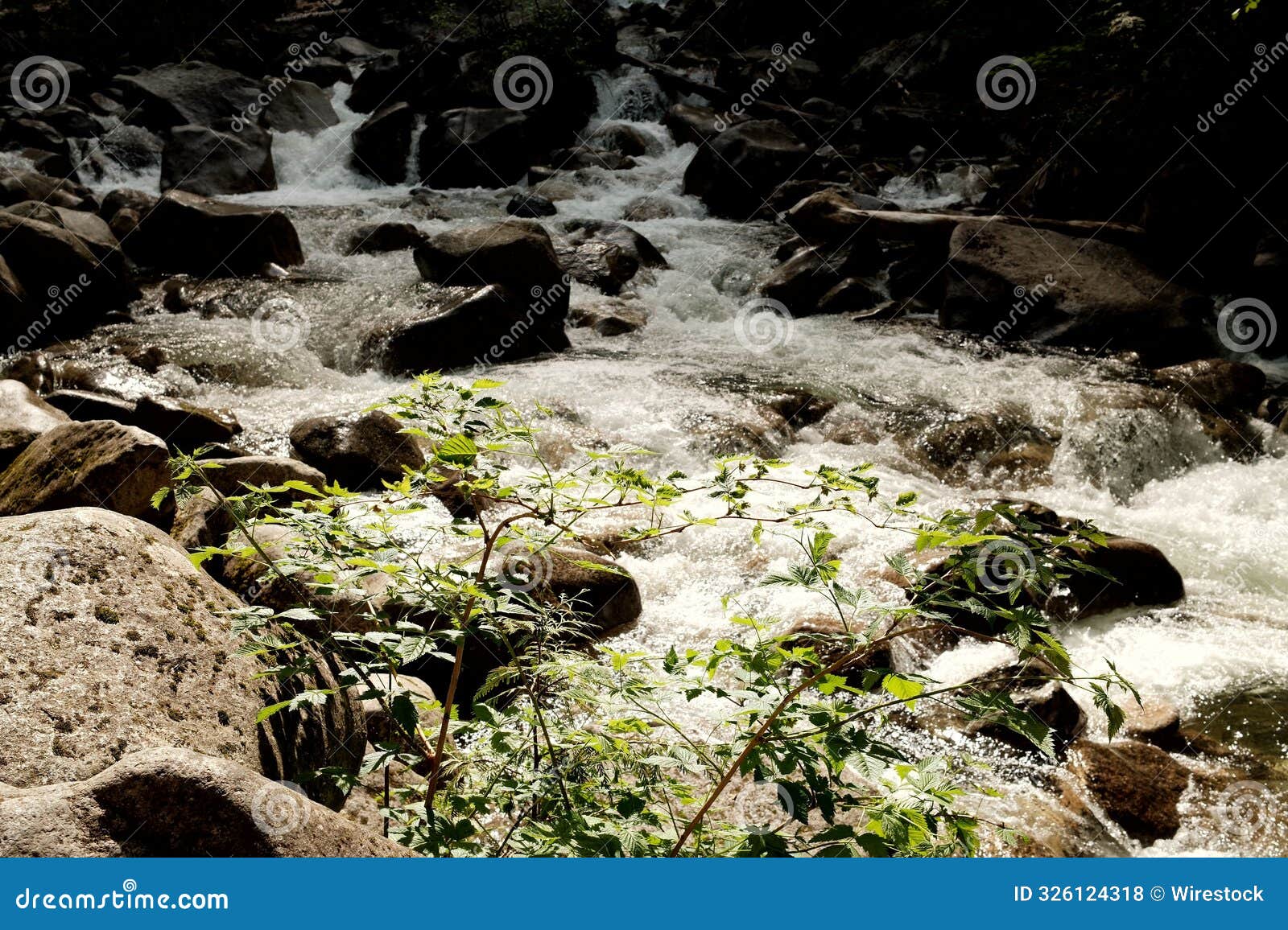 Water Flows Downstream in Canada National Parks Stock Photo - Image of ...