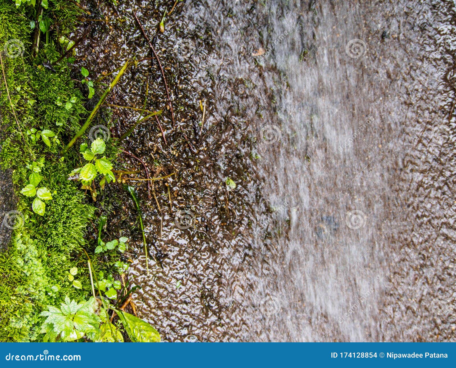 Drainage Of The Path By Means Of A Gutter Under Which Water Flows. The ...