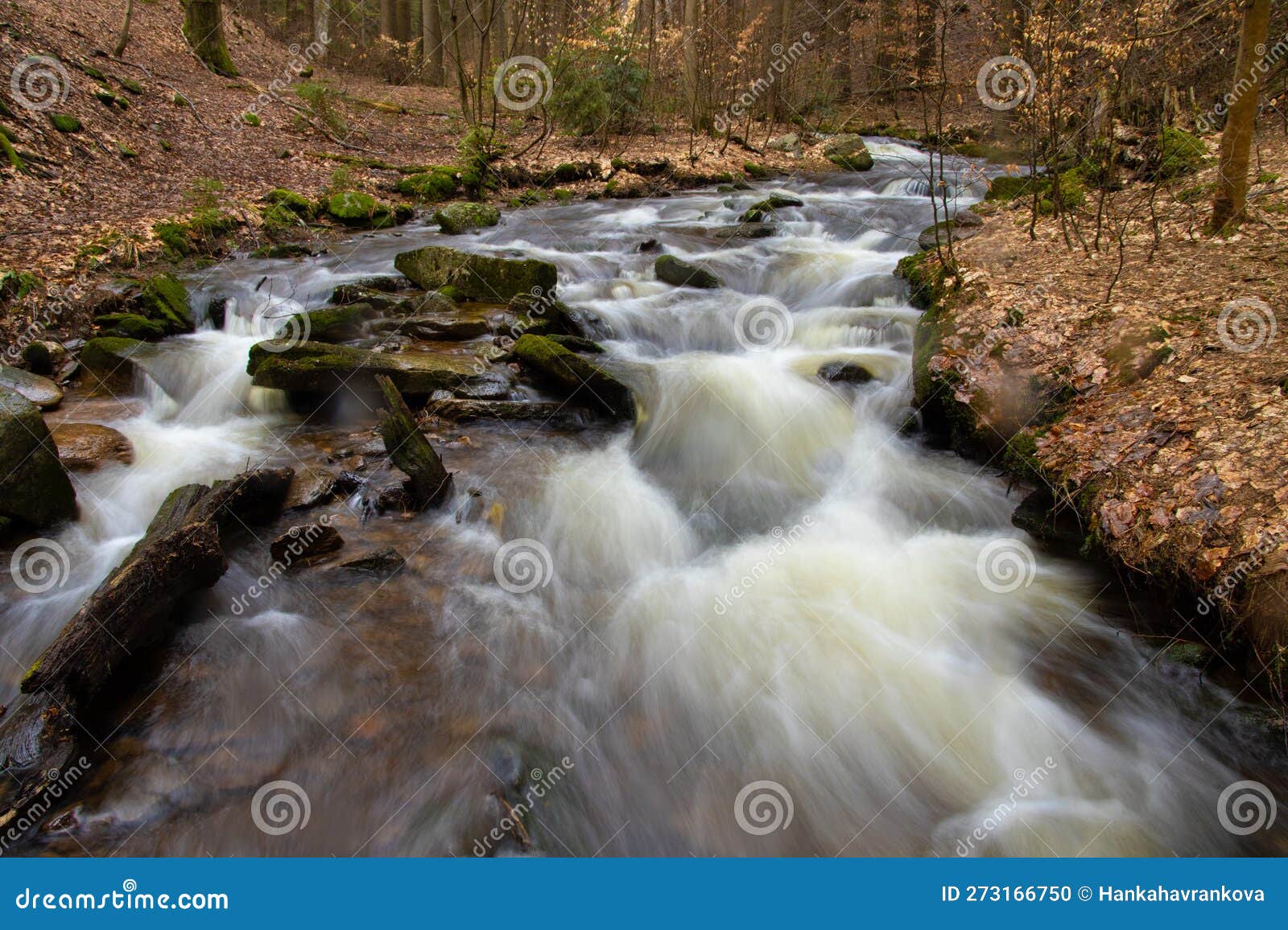 Water Flows in the Forest. River in Slow Motion Stock Photo - Image of ...