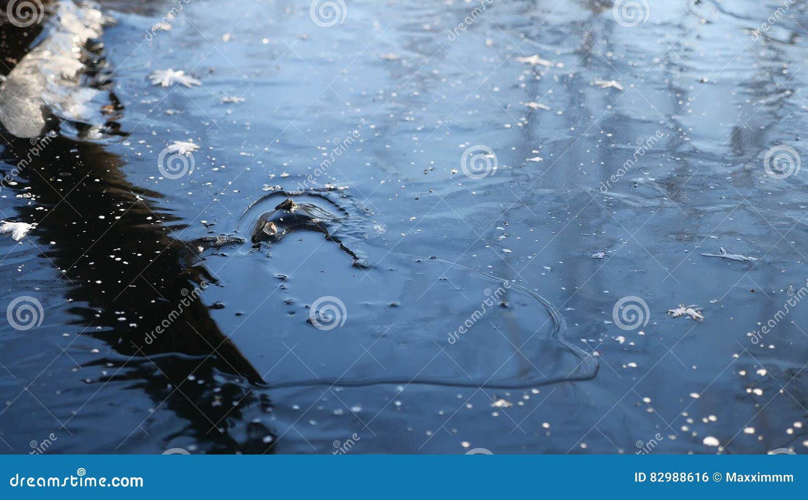 Water Flows through a Hole in the Ice End of Winter Nature Landscape ...