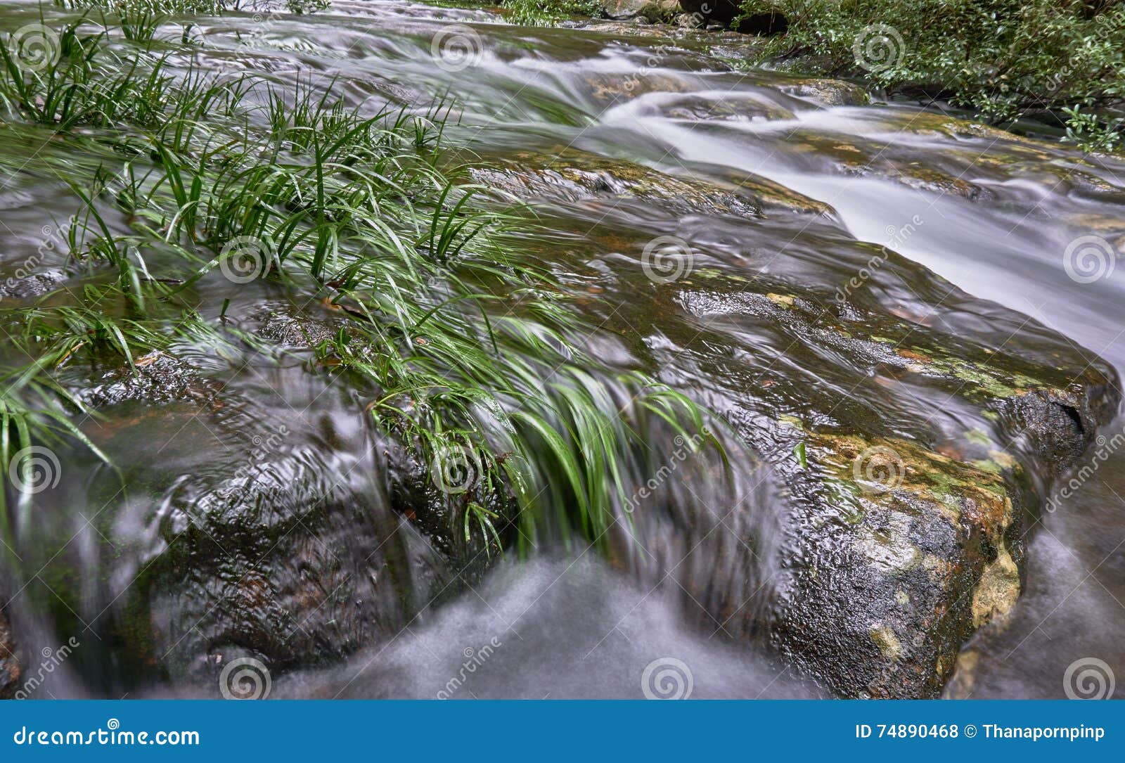 Water Flows Over Rocks in a River. Stock Photo - Image of landscape ...