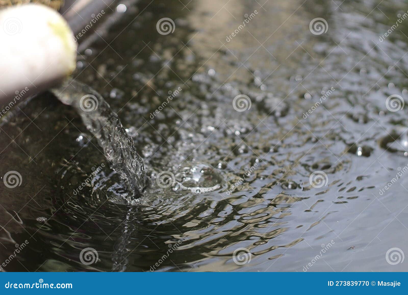 Water Flows from the Paralon Pipe Stock Photo - Image of leaf, inside ...