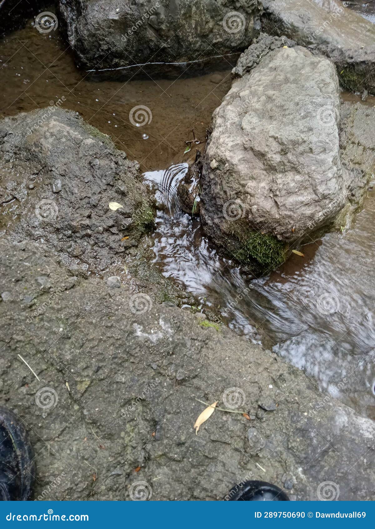 Water Flows through a Passage Stock Photo - Image of terrain, stream ...