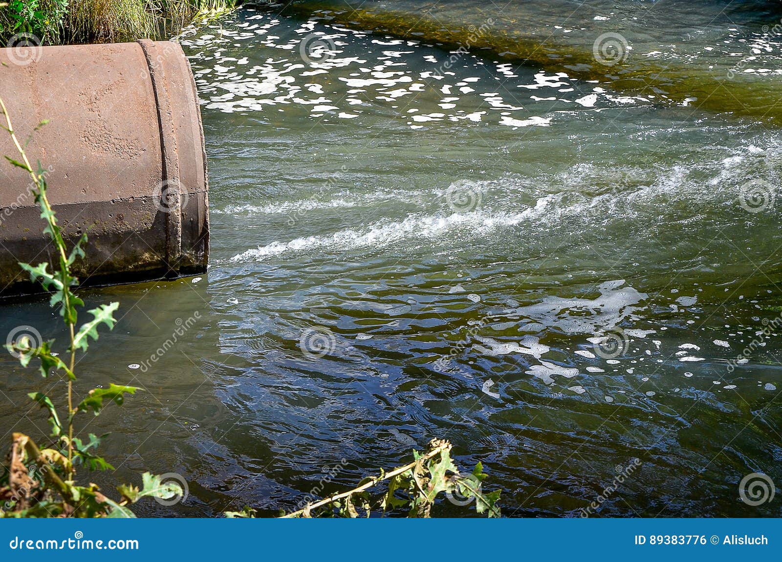 Water Flows from the Pipe into the River. Stock Photo - Image of plant ...