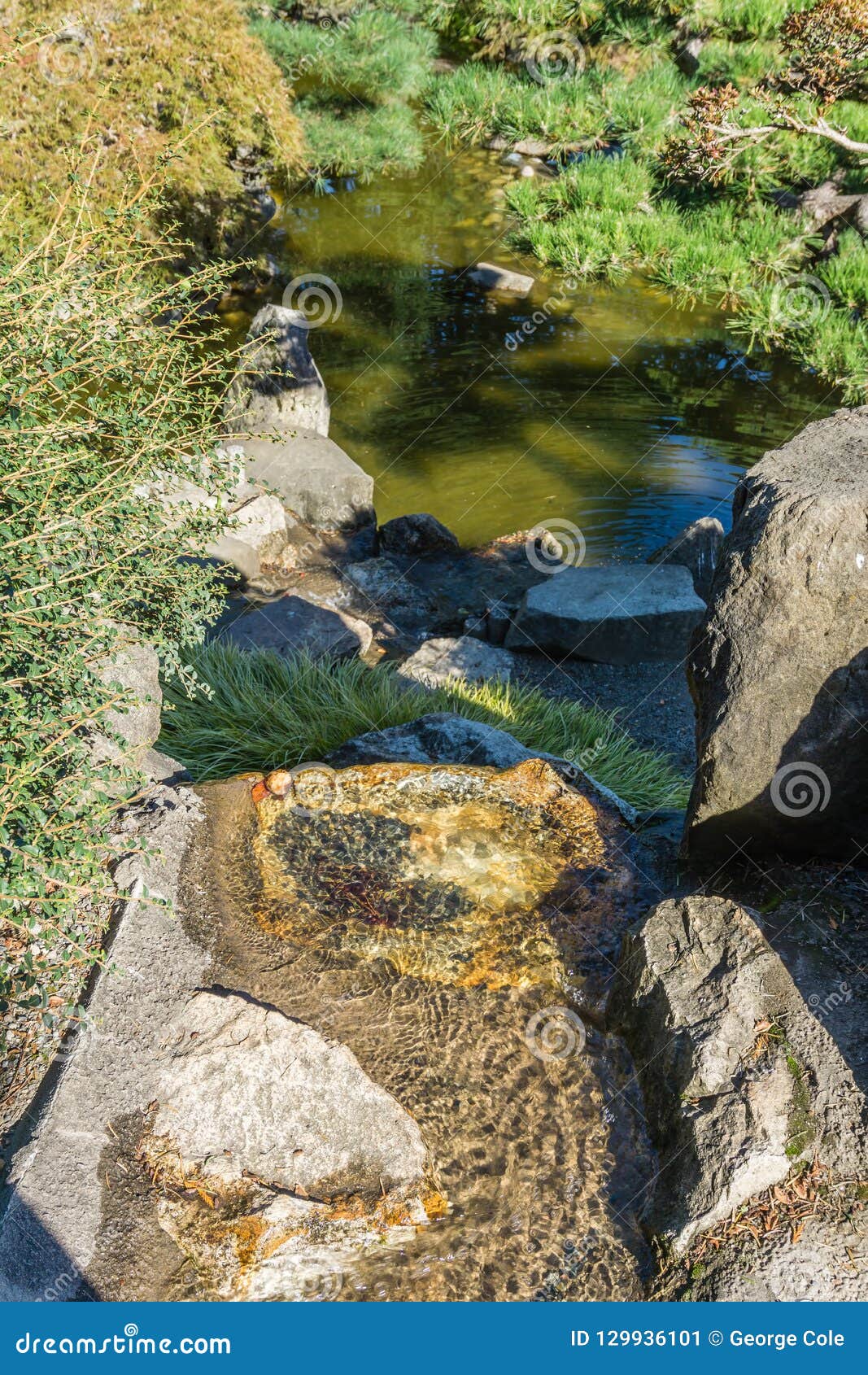 Flowing Water and Pond stock image. Image of pond, pool - 129936101