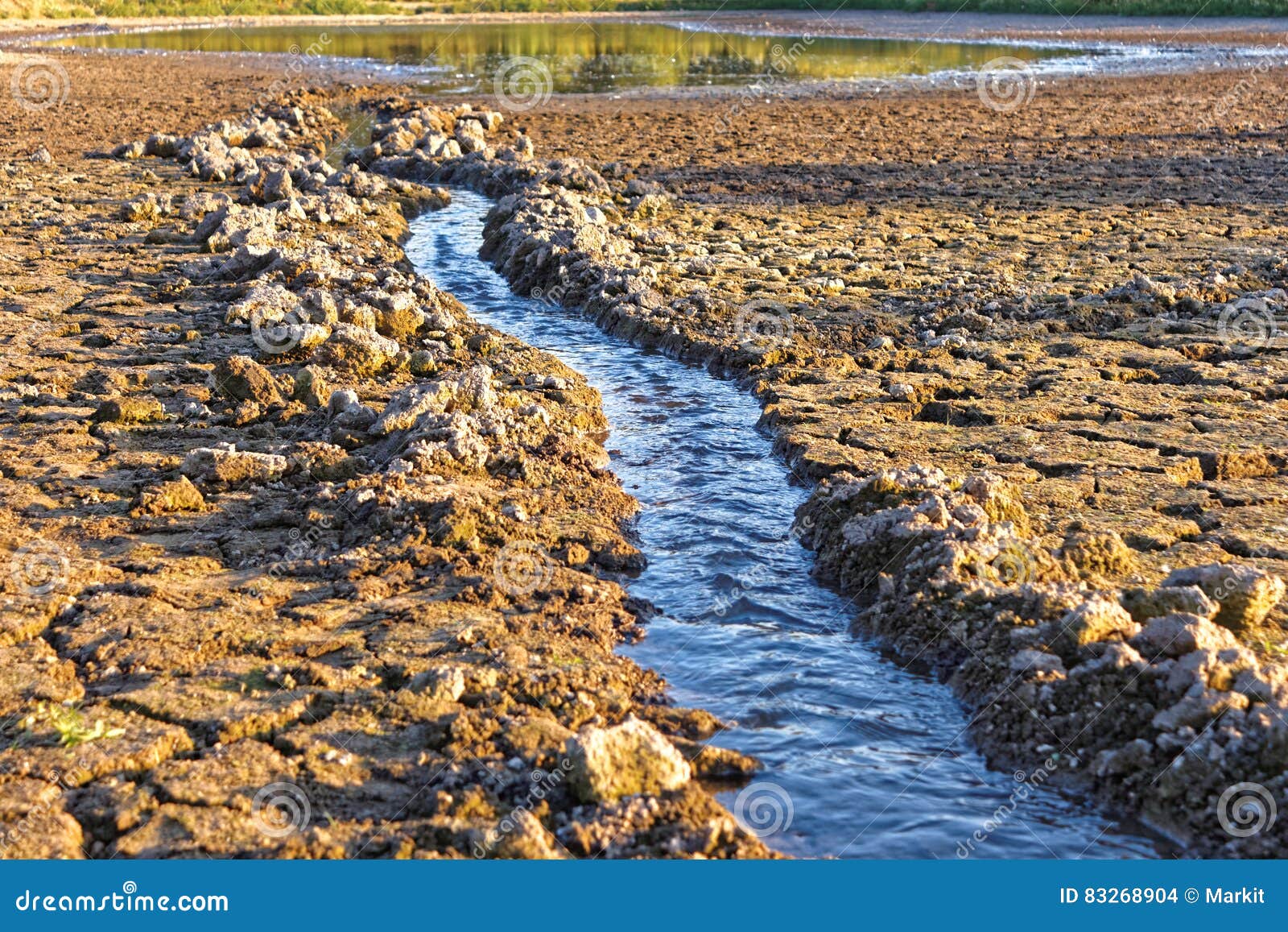 324 Shrinking Environment Stock Photos - Free & Royalty-Free Stock ...