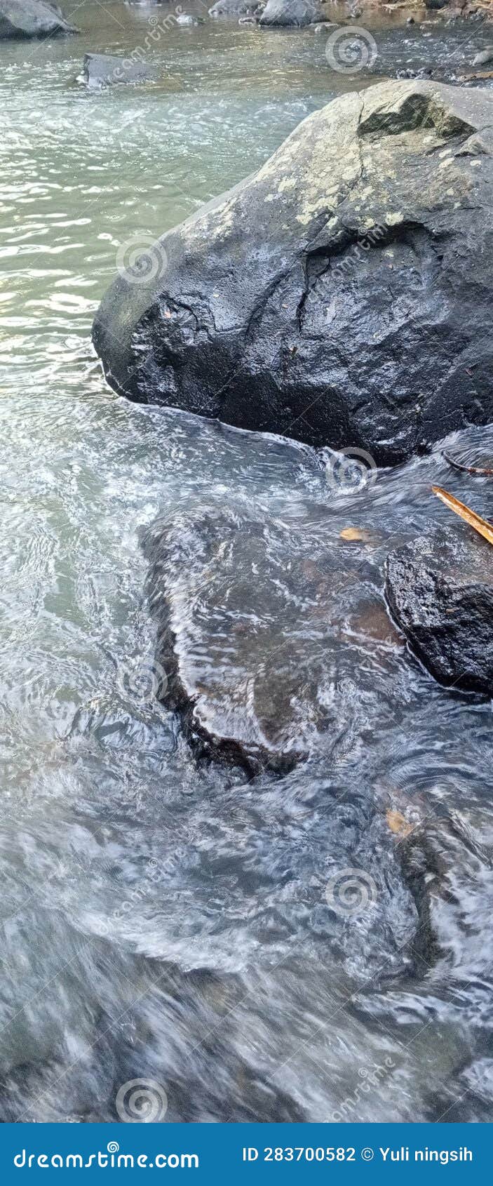 Water Flows between the Rocks Stock Photo - Image of shore, wildlife ...