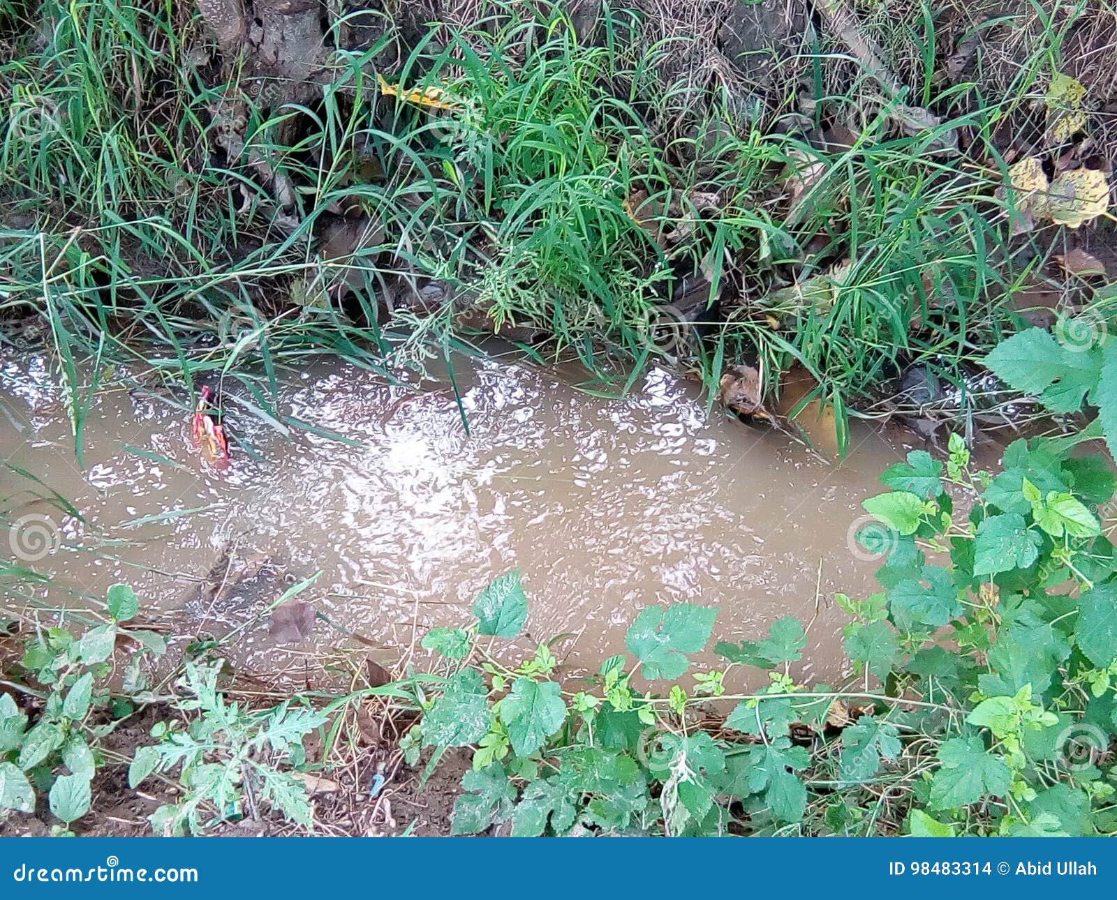 Water flows in Runnel stock photo. Image of running, runnel - 98483314