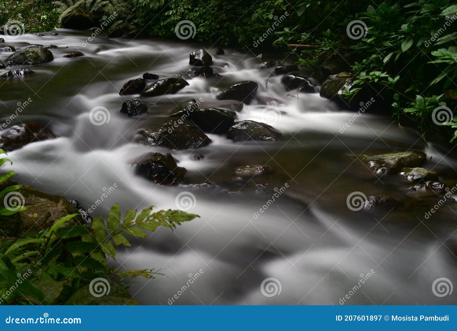 Water Flows in Slow Speed Mode Stock Image - Image of forest, speed ...
