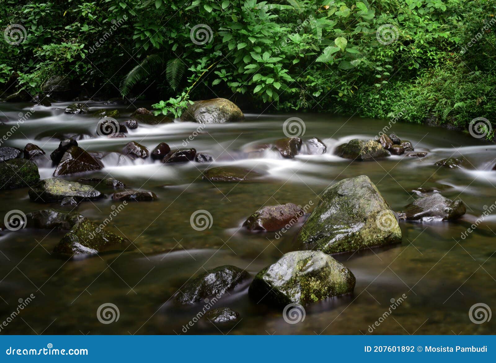 Water Flows in Slow Speed Mode Stock Photo - Image of calm, green ...