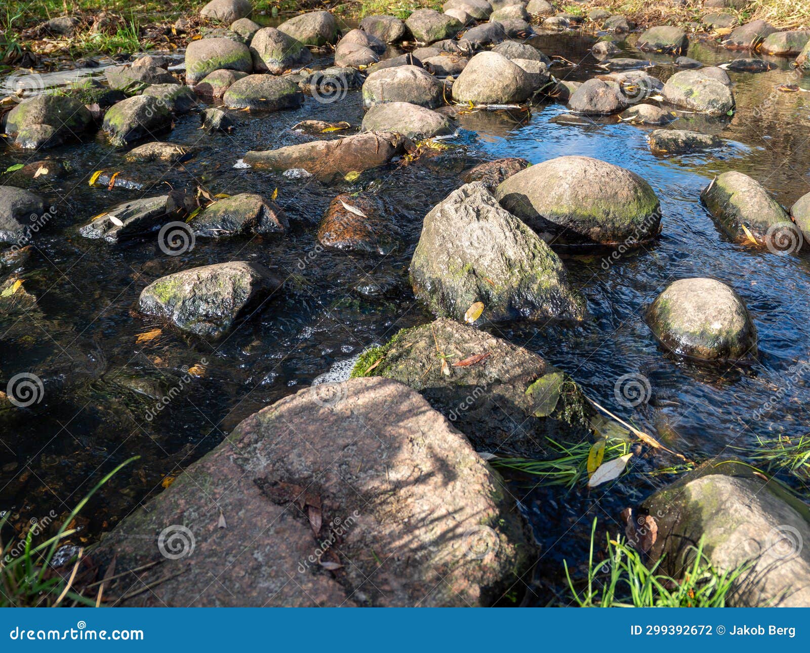 Water Flows among the Stones. Stock Photo - Image of fall, rocks: 299392672