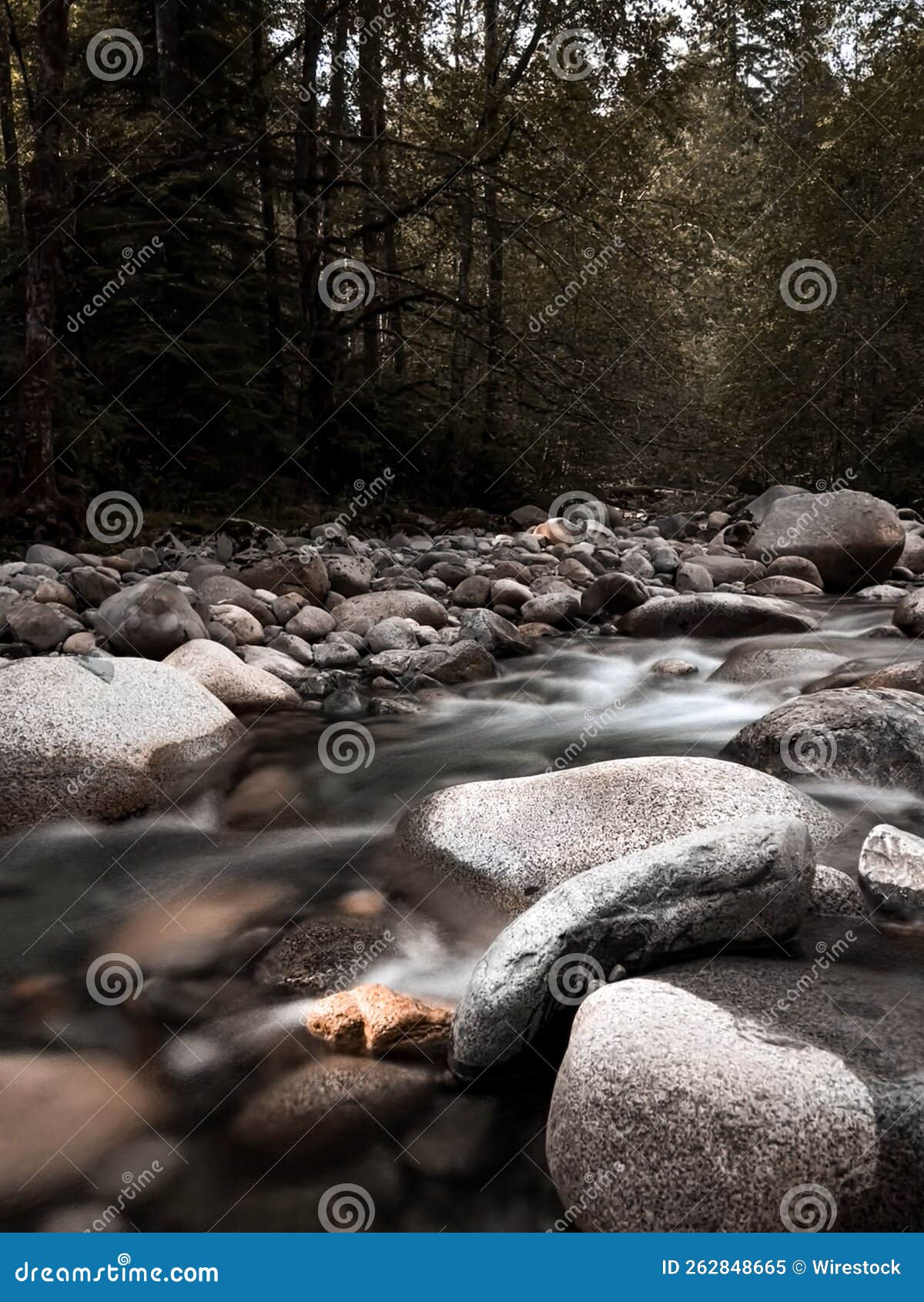 Water Flows on the Stones in the Stream. Stock Image - Image of clear ...