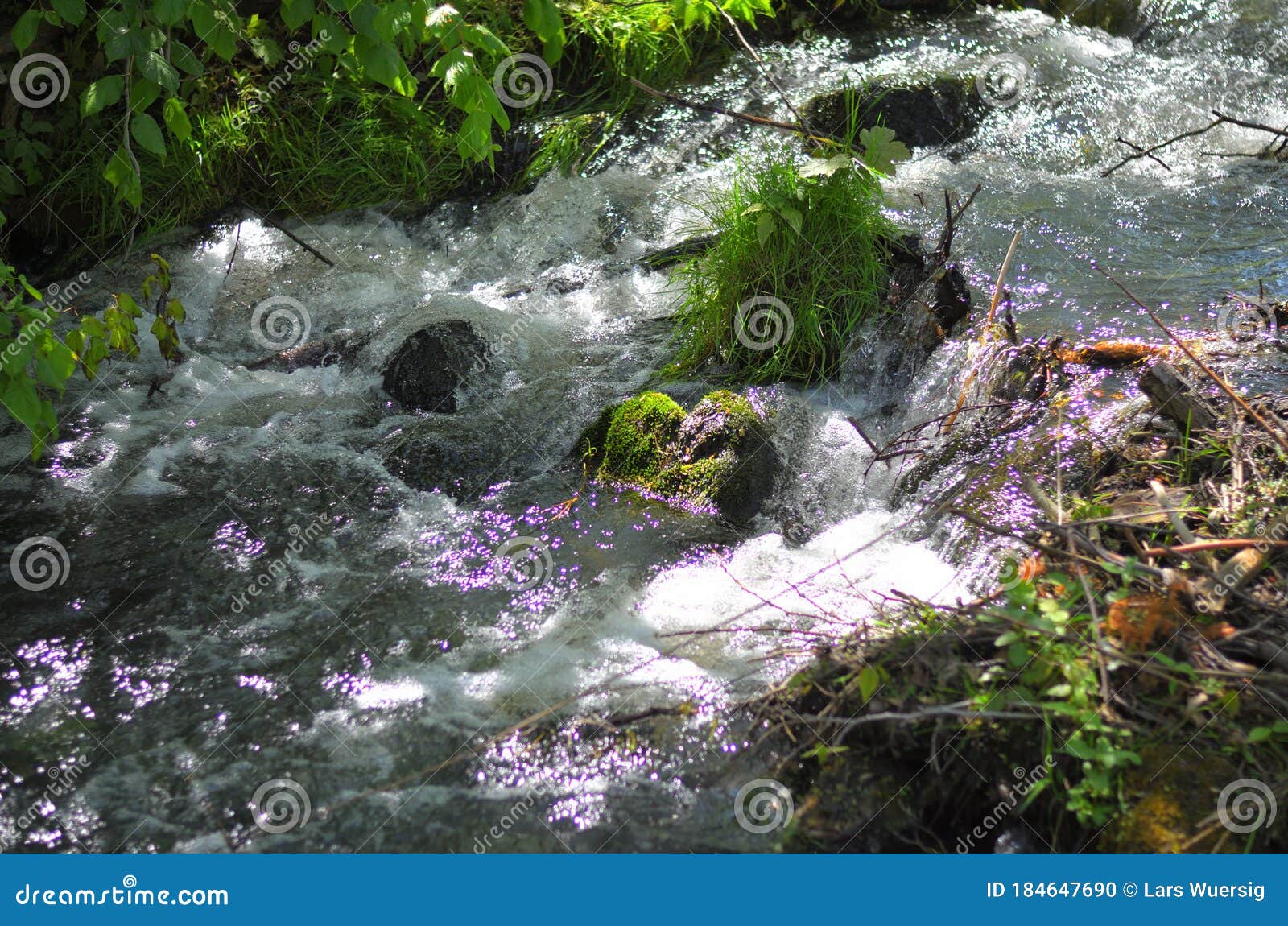 Water flows in a stream stock photo. Image of shimmers - 184647690