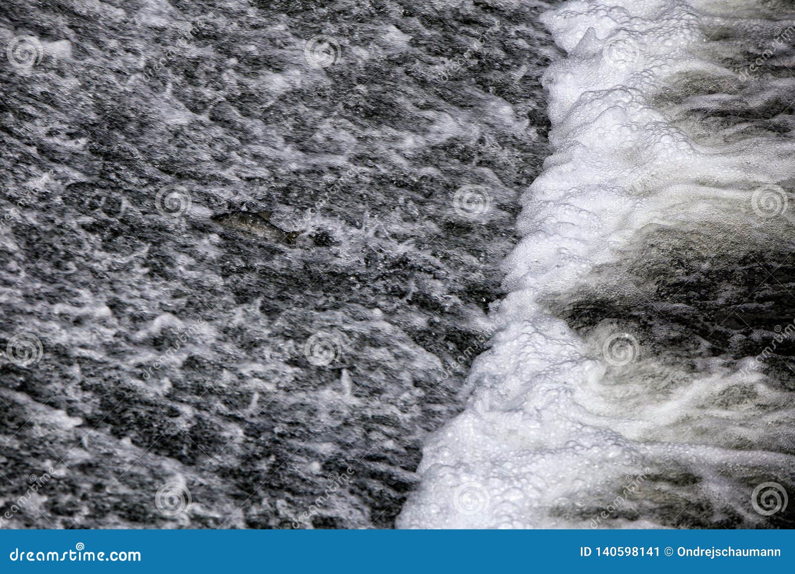 Water Foam Under the Weir with Fish in the Middle Stock Image - Image ...
