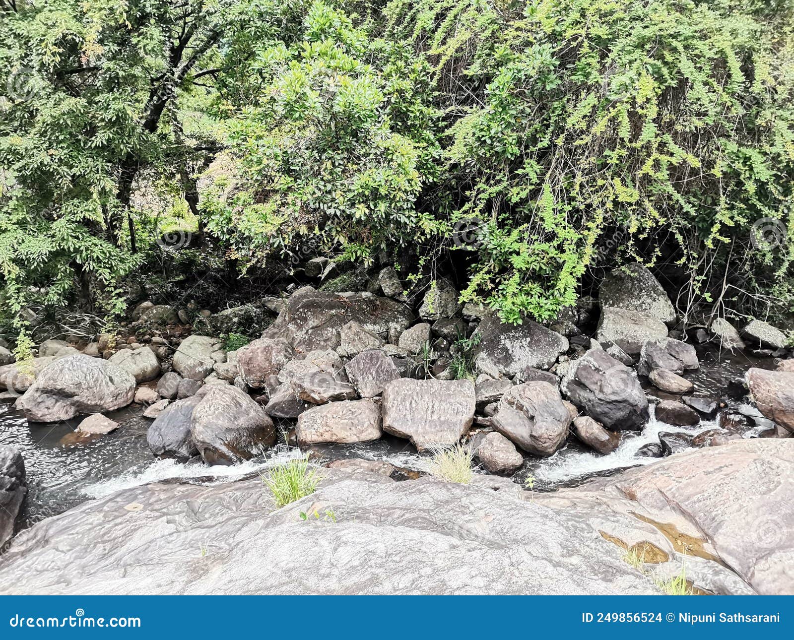 Water Foating in the Heeloya Stock Photo - Image of woodland, rock ...
