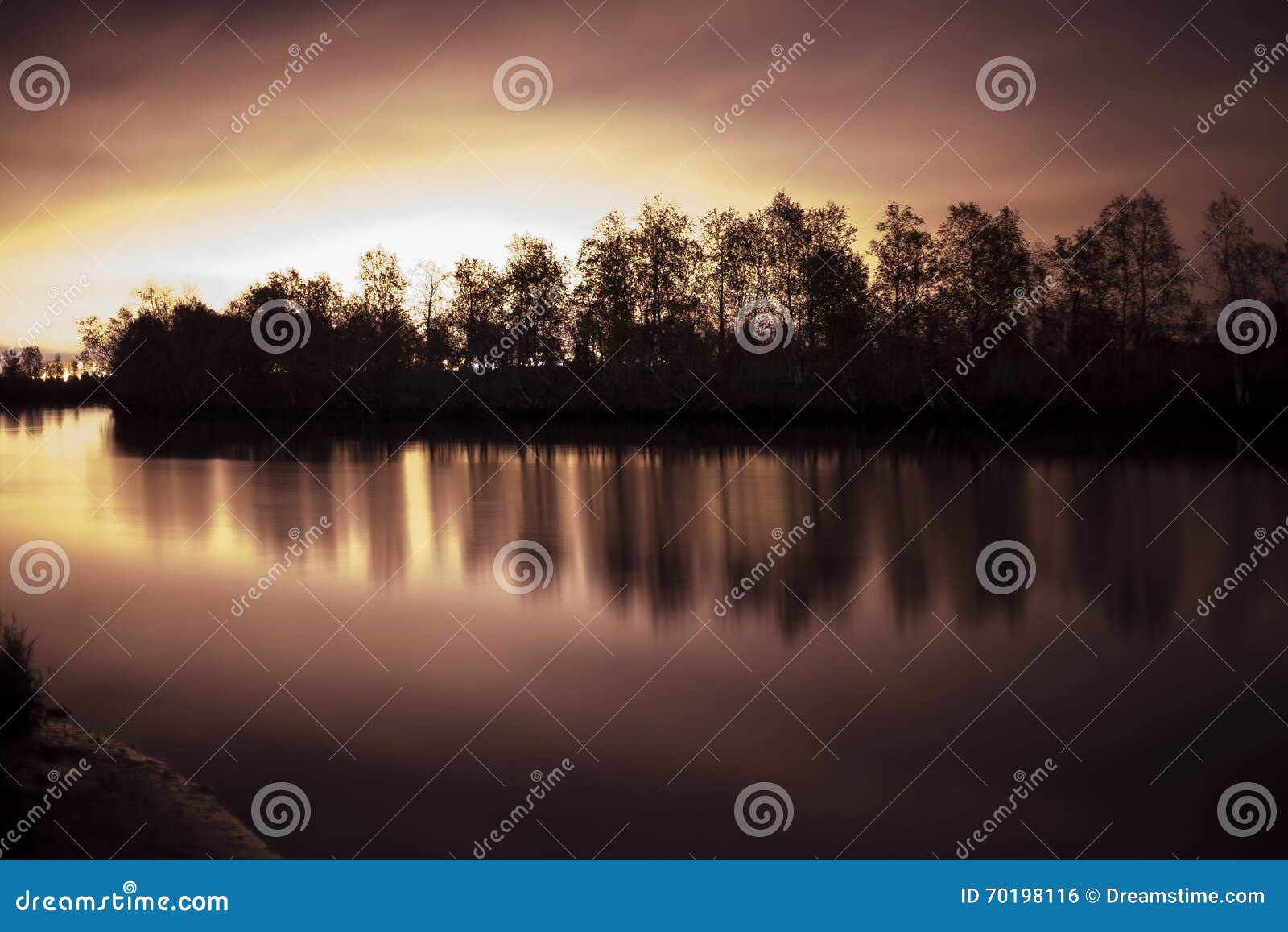 Water in forest stock photo. Image of infinite, nature - 70198116