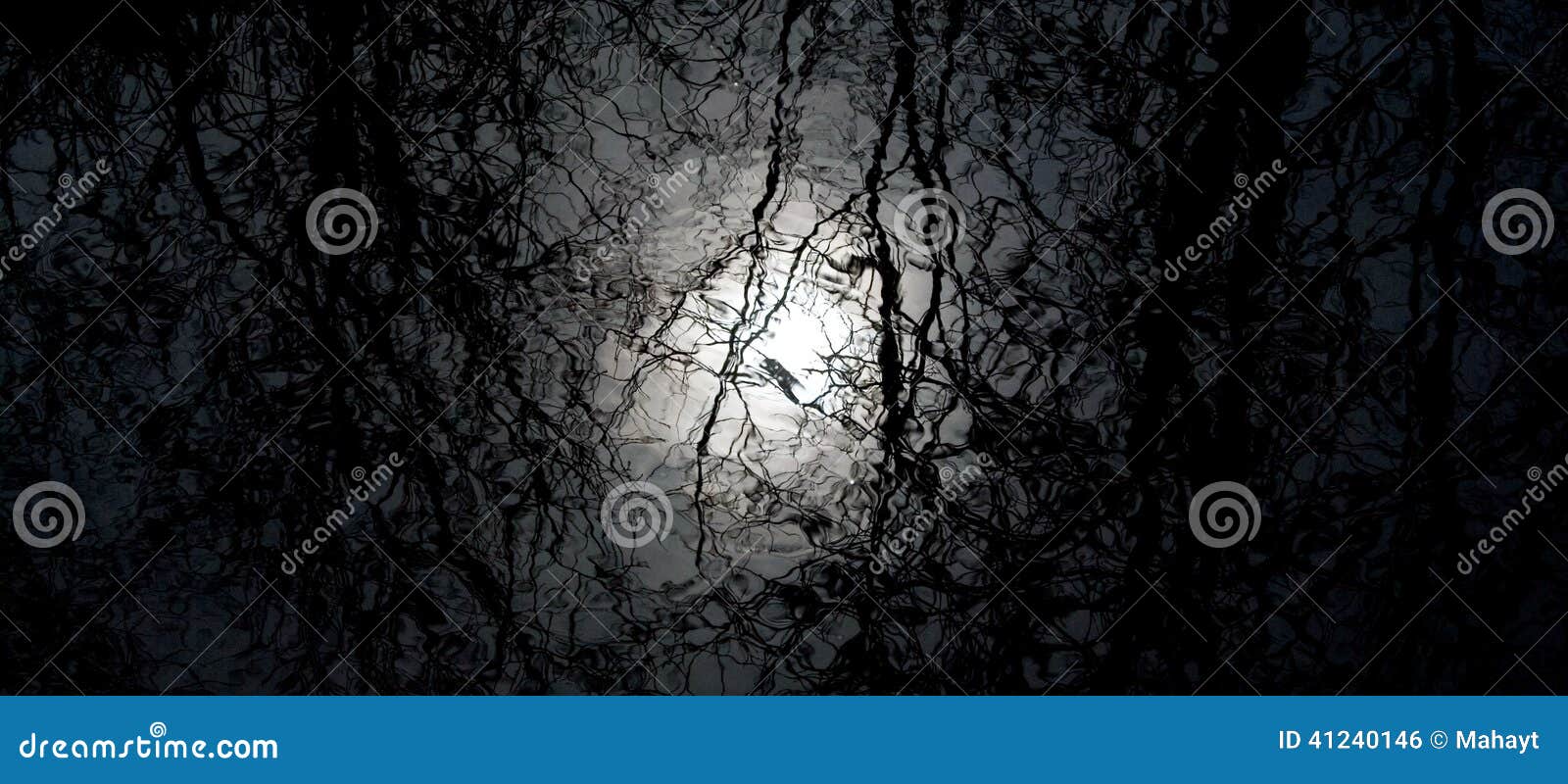 Water Forest Mirror Pattern Stock Photo - Image of jasper, blue: 41240146