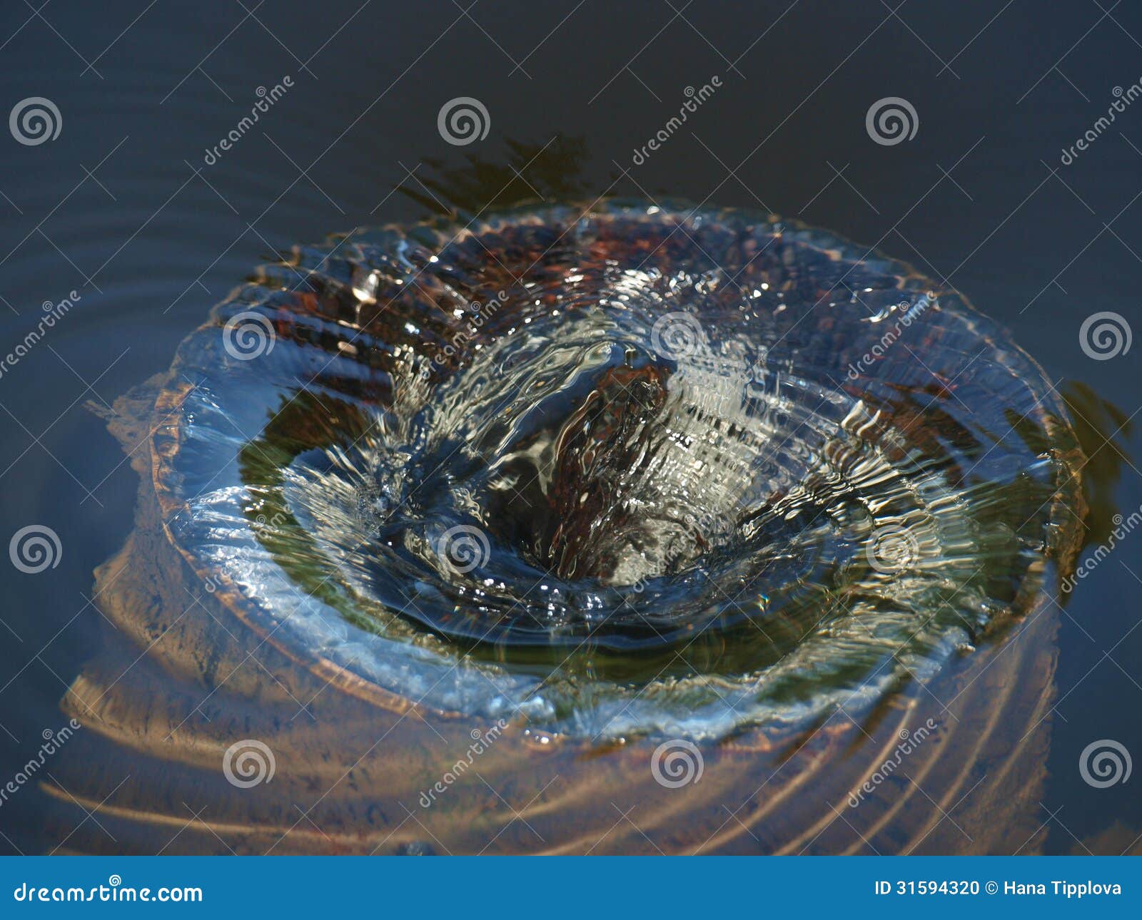 Water forms a vortex stock photo. Image of motion, fluid - 31594320